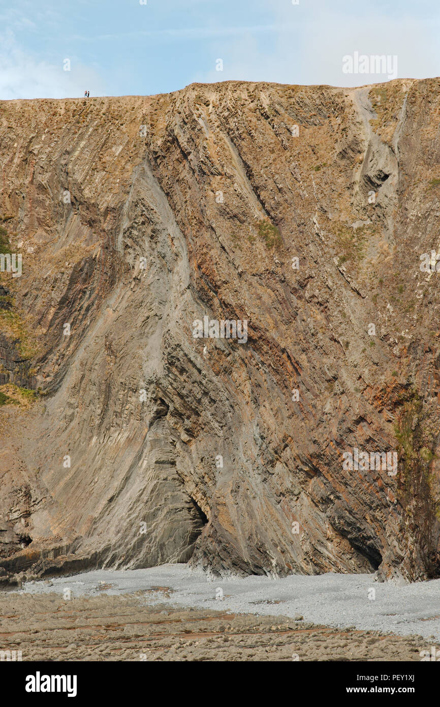 The cliffs at Hartland Quay in North Devon are a folded sequence of ...