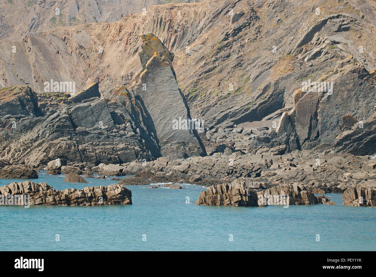 Bear rock, Hartland Quay, North Devon coast, UK Stock Photo - Alamy