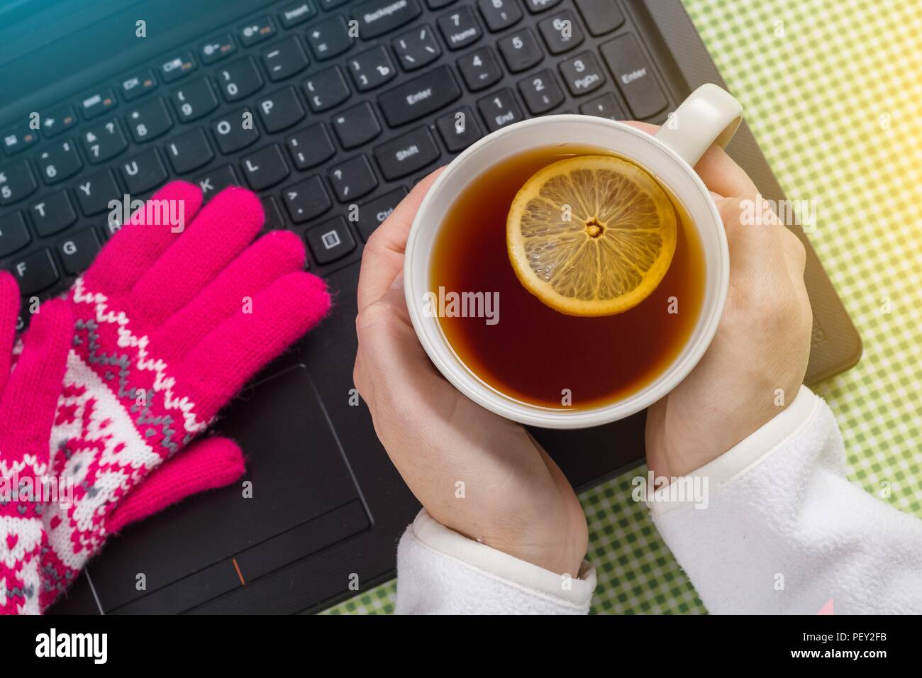 Using laptop in a cold winter, Female with gloves on Stock Photo - Alamy