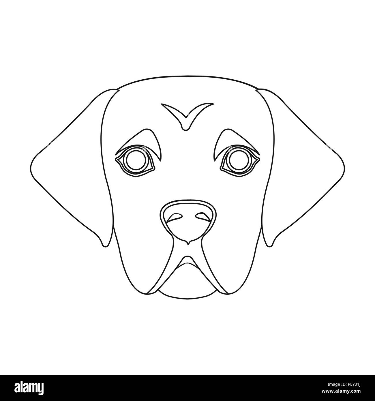 animal,breed,different,dog,haired,head,icon,illustration,isolated ...