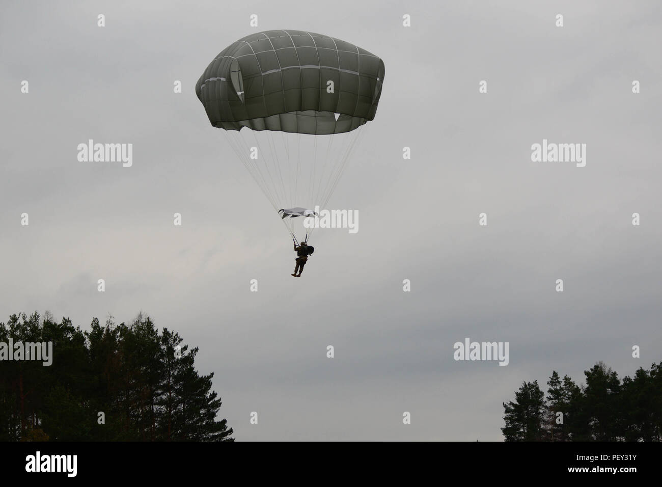 A U.S. paratrooper assigned to 4th Battalion, 319th Airborne Field ...