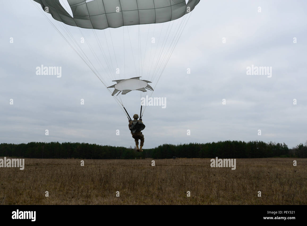 A U.S. paratrooper assigned to 4th Battalion, 319th Airborne Field ...