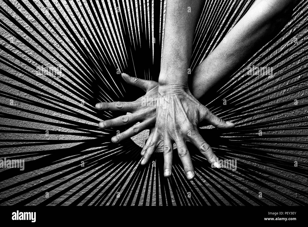 Human body pattern hi-res stock photography and images - Alamy