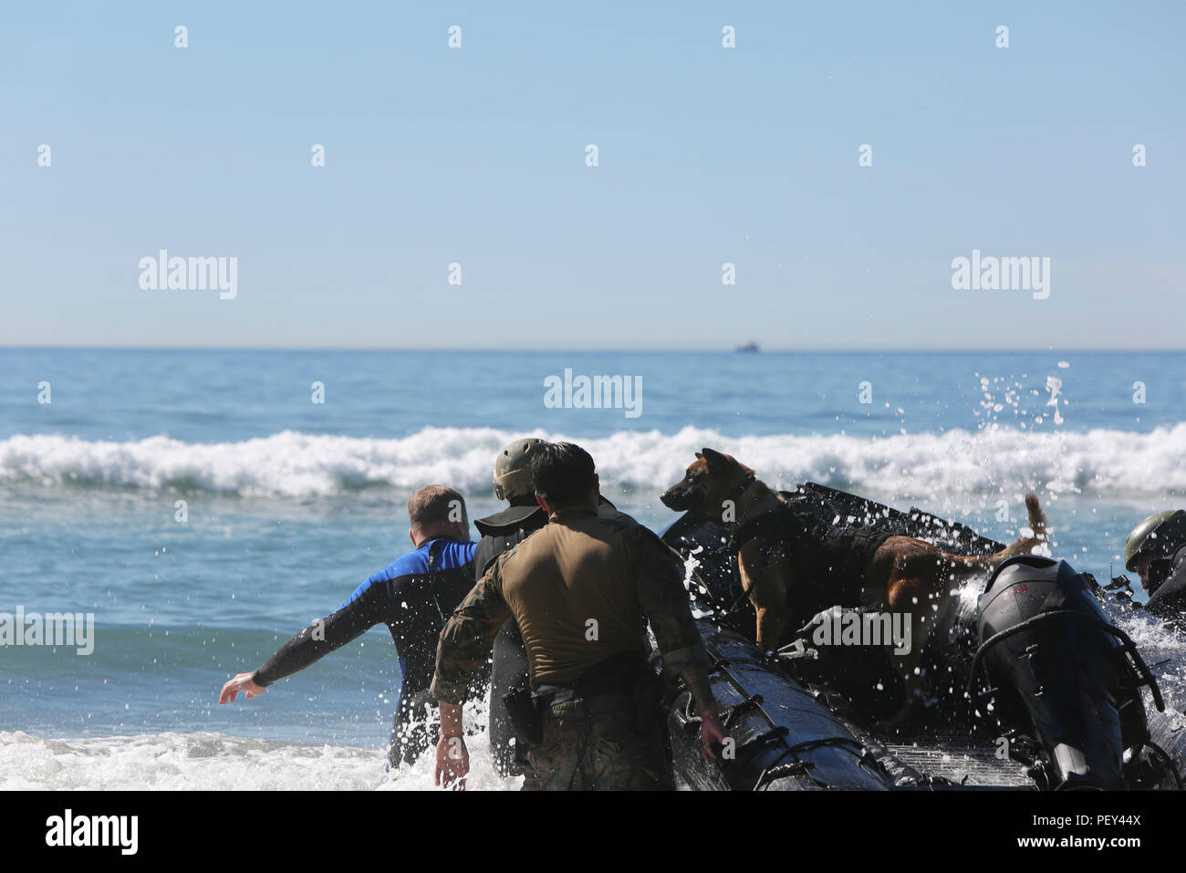 U.S. Marine Corps Forces Special Operations Command (MARSOC), and U.S ...