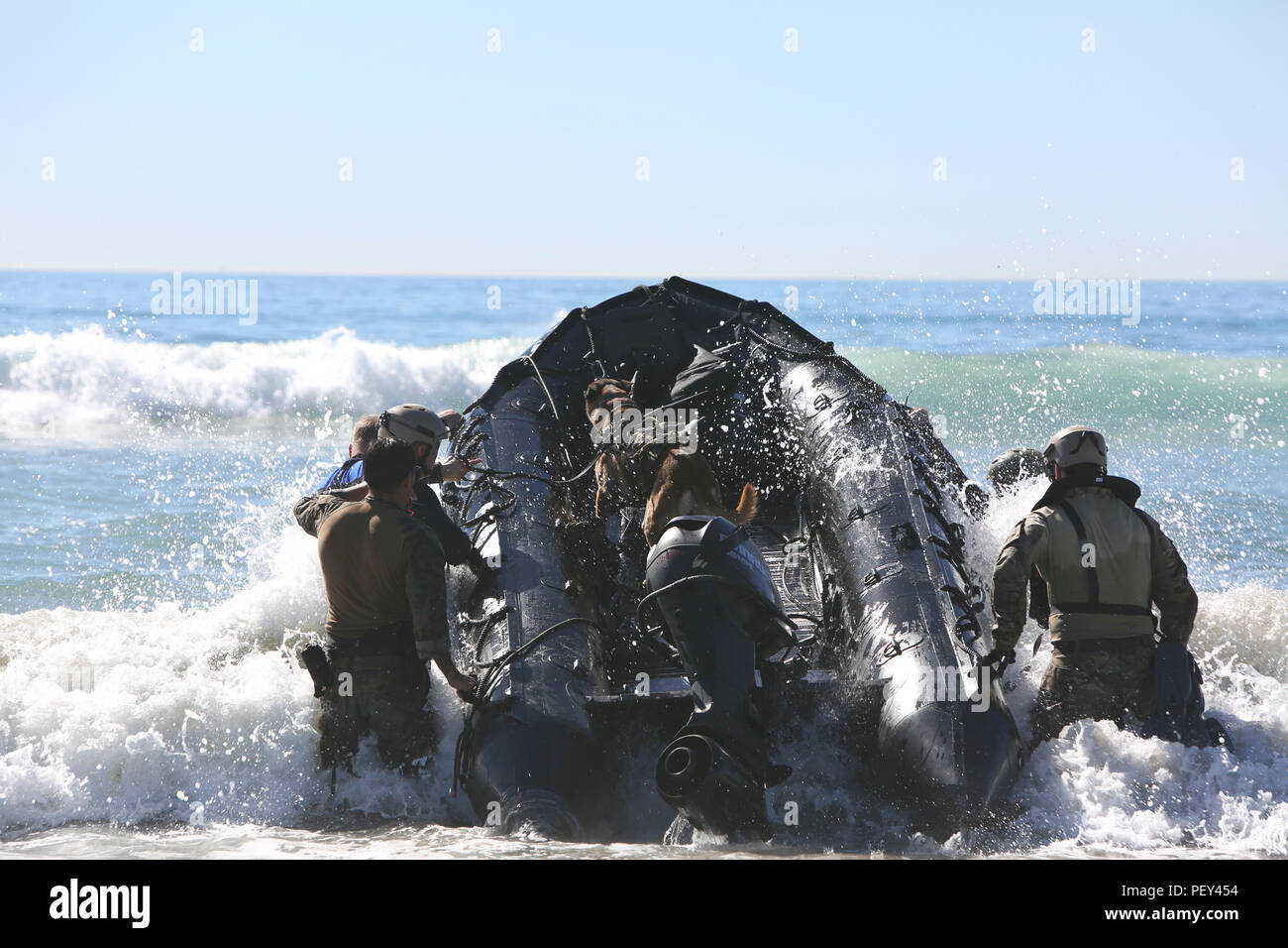 U.S. Marine Corps Forces Special Operations Command (MARSOC), and U.S ...