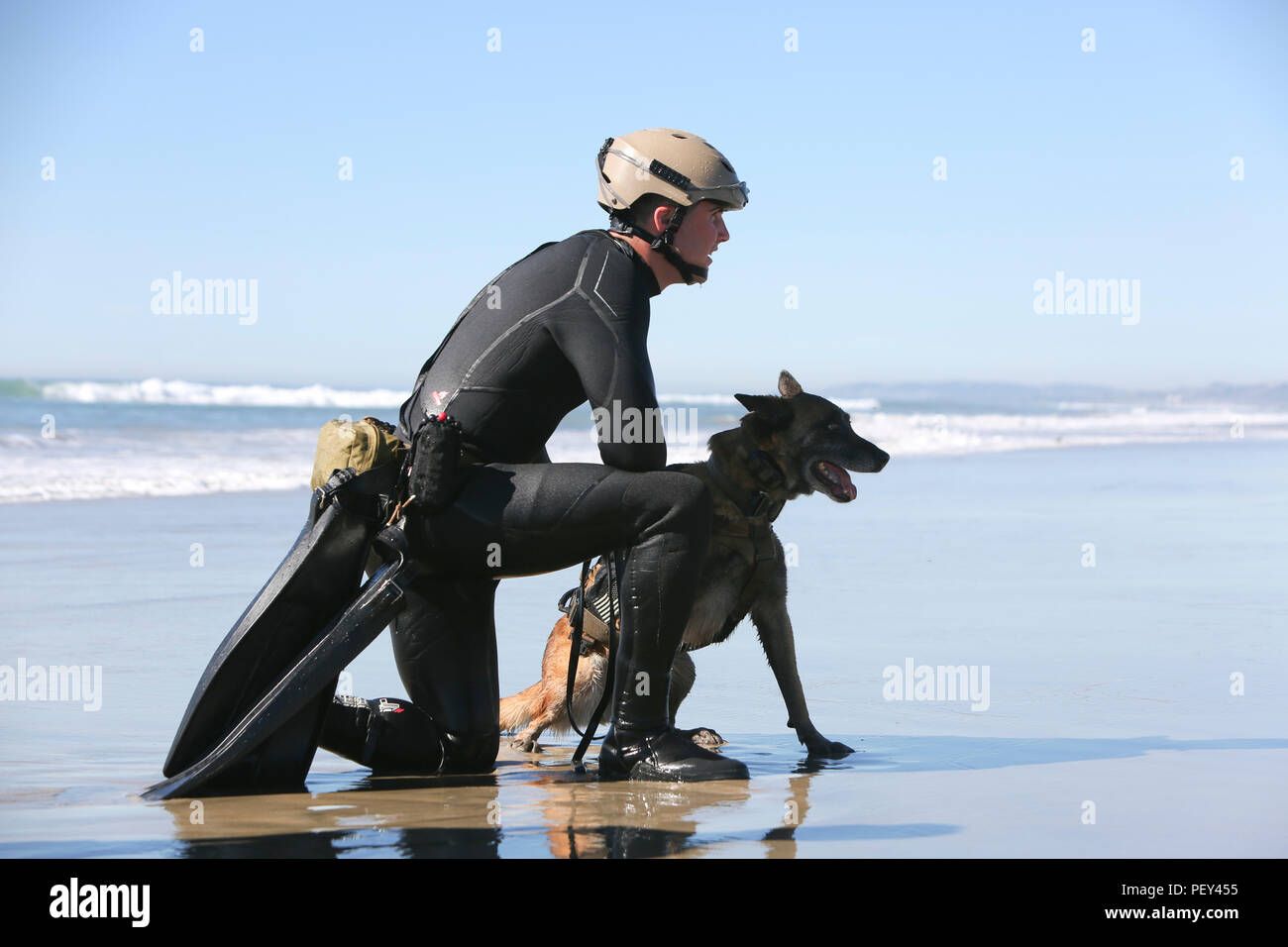 A Multi-Purpose Canine (MPC) handler with U.S. Marine Corps Forces ...