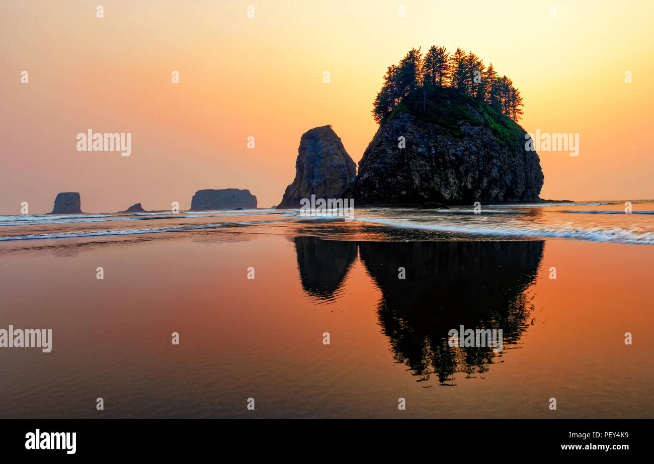 Washington state forest fire hi-res stock photography and images - Alamy