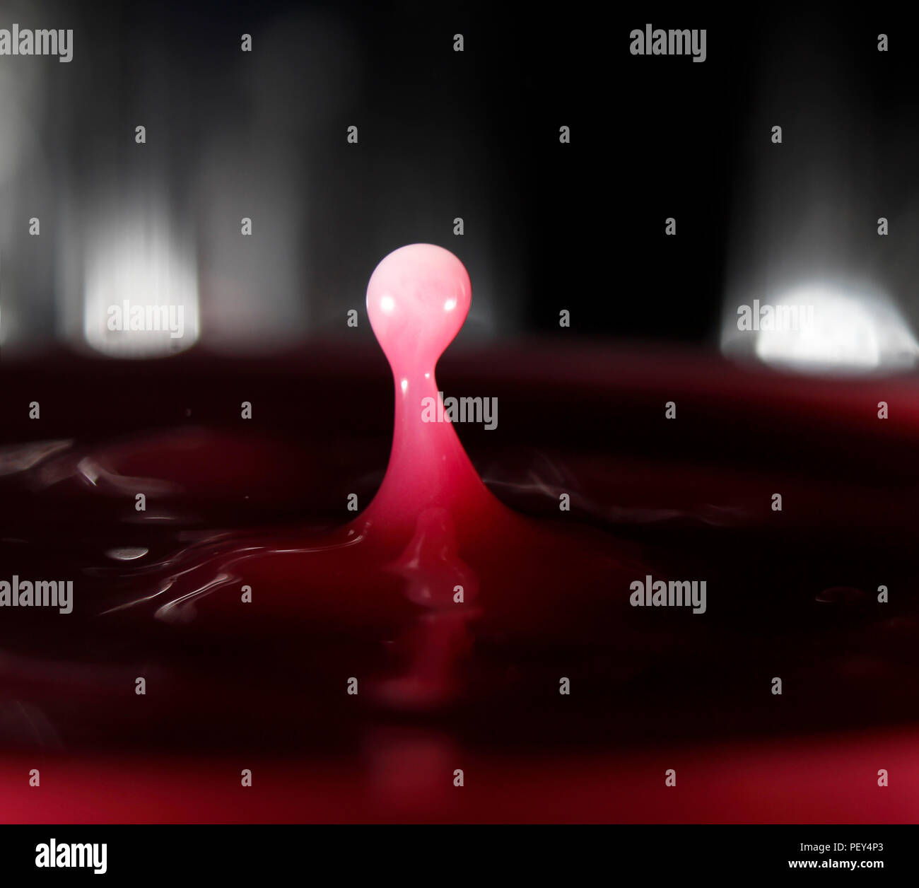 Water droplet splashing into red pink fluid physical phenomenon Stock ...