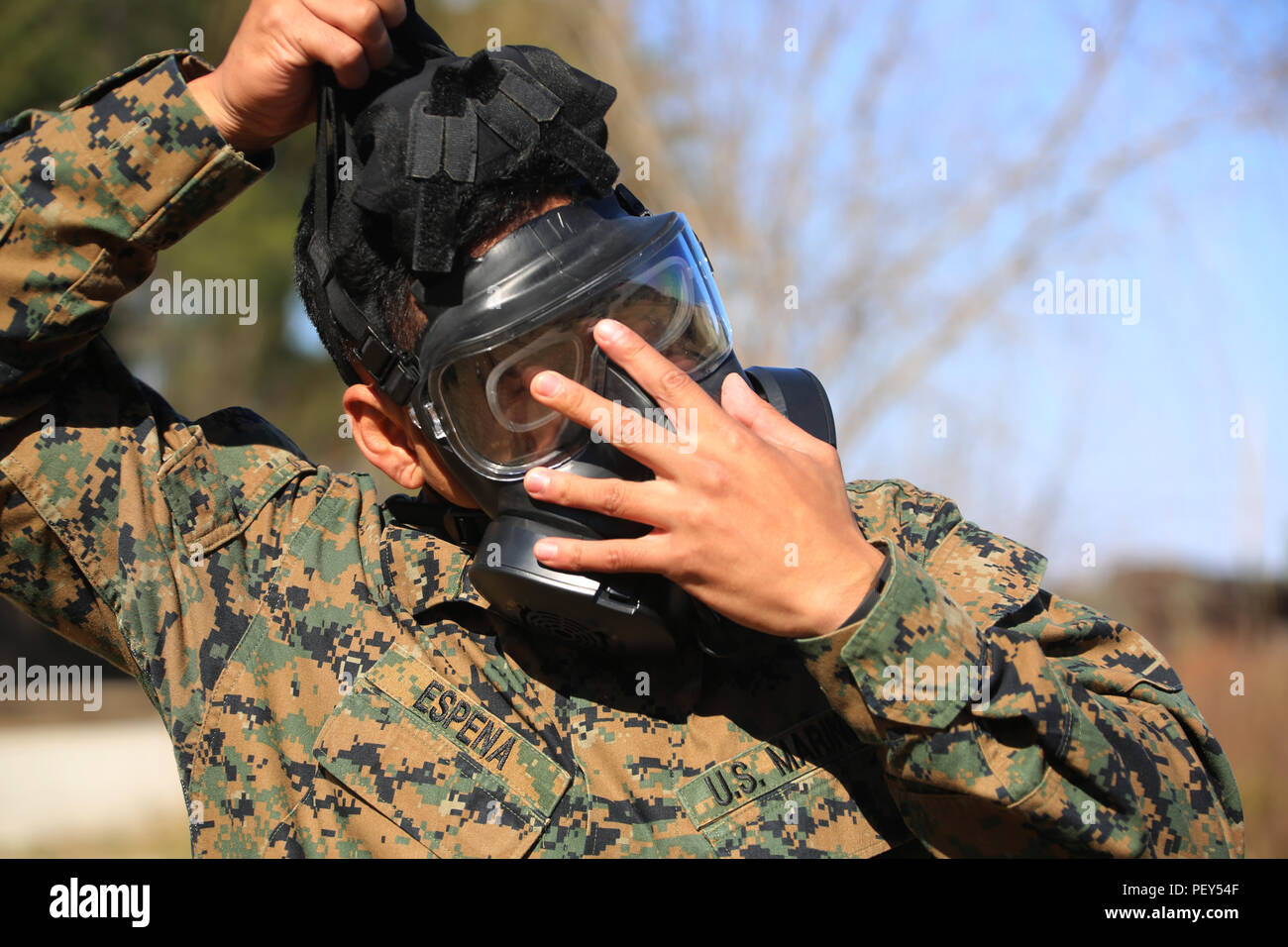 M50 joint service general purpose gas mask hi-res stock photography and ...