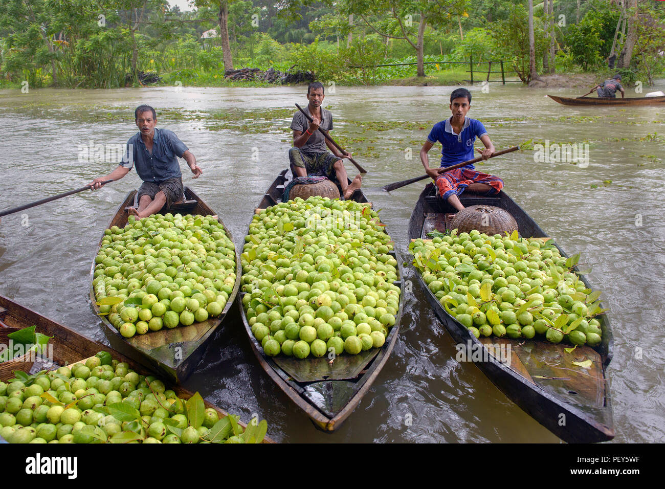 guava floating market Stock Photo - Alamy