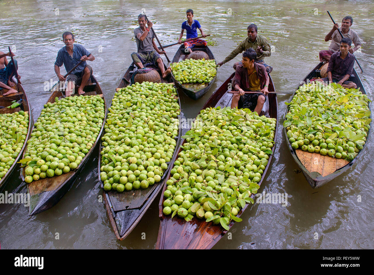Guava market hi-res stock photography and images - Alamy