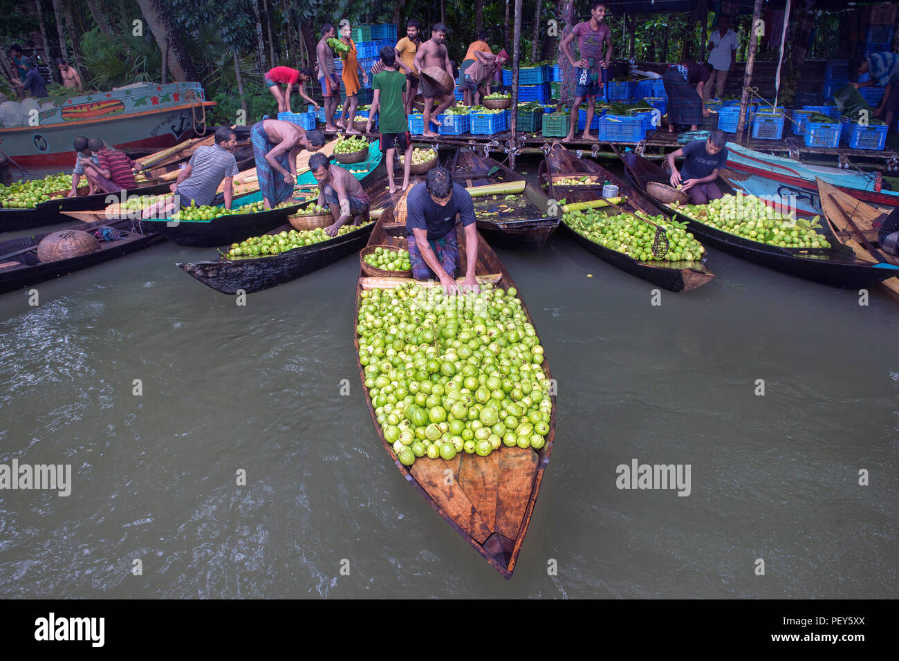 Guava Floating market Stock Photo - Alamy