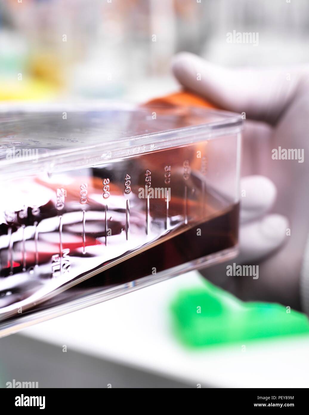 Cell culture flask hi-res stock photography and images - Alamy