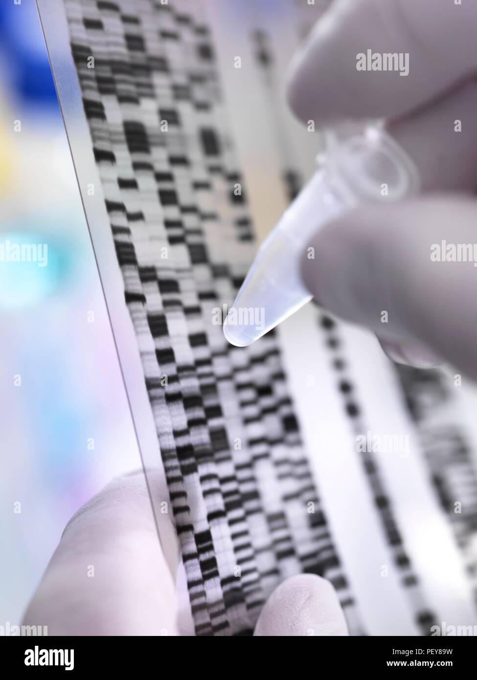 Scientist holding a DNA (deoxyribonucleic acid) sample in a tube with ...