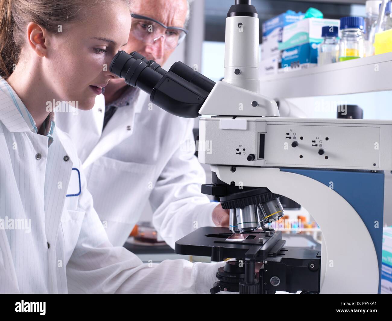 Scientists viewing a sample on a glass slide under a light microscope ...