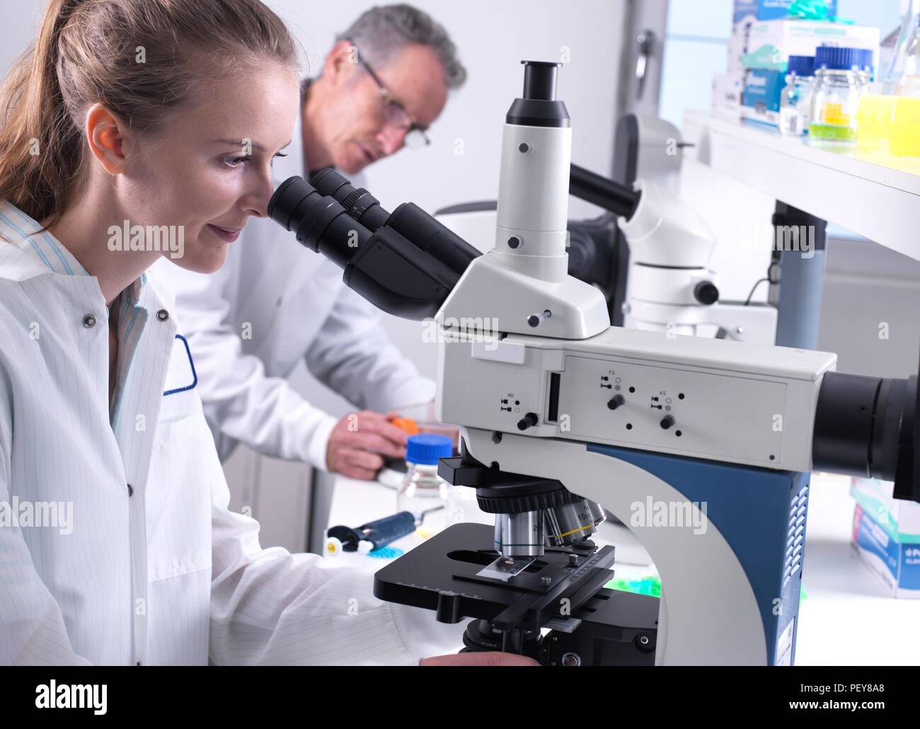 Scientists viewing a biological sample on a glass slide under a light ...
