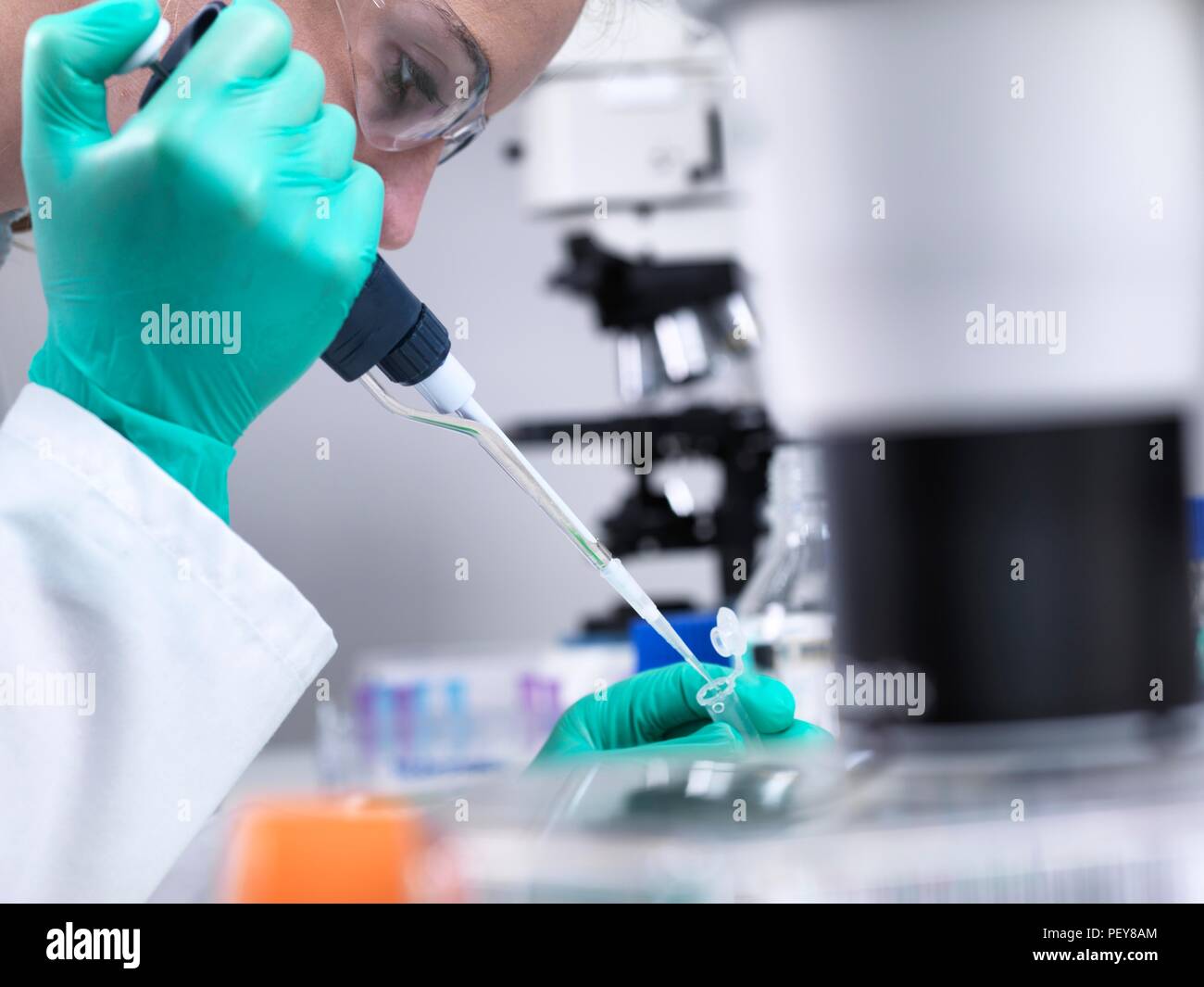 Pipette eppendorf vials hi-res stock photography and images - Alamy