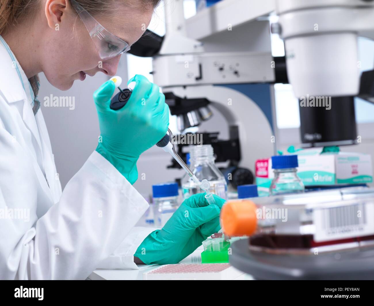 Preparing sample vials. Laboratory worker pipetting liquid into an ...