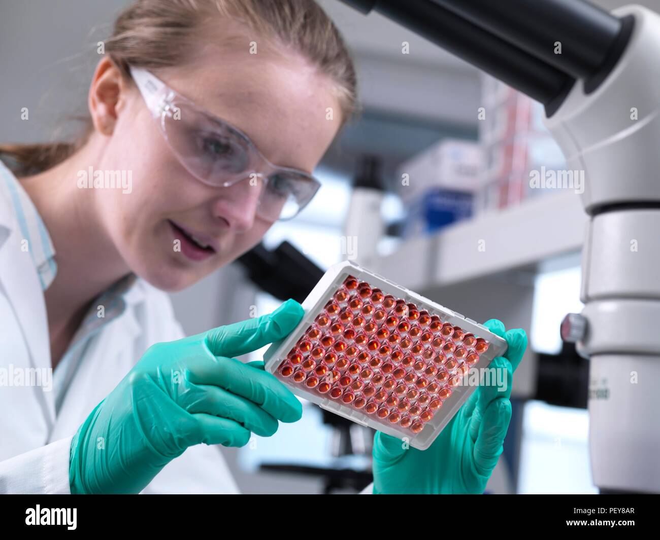 Blood testing equipment hi-res stock photography and images - Alamy