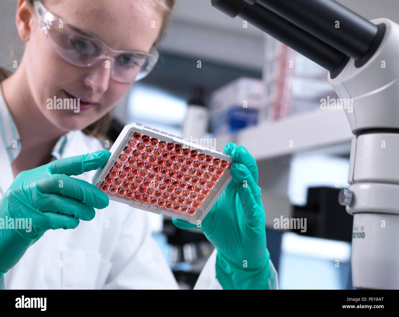 Preparing for blood test hi-res stock photography and images - Alamy