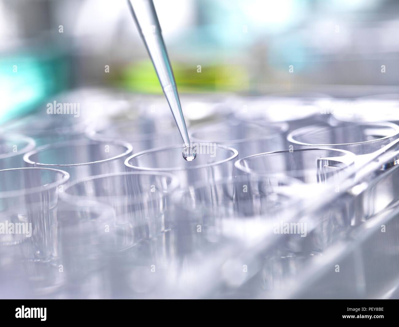Pipetting sample into multi well plate for analysis in a laboratory ...