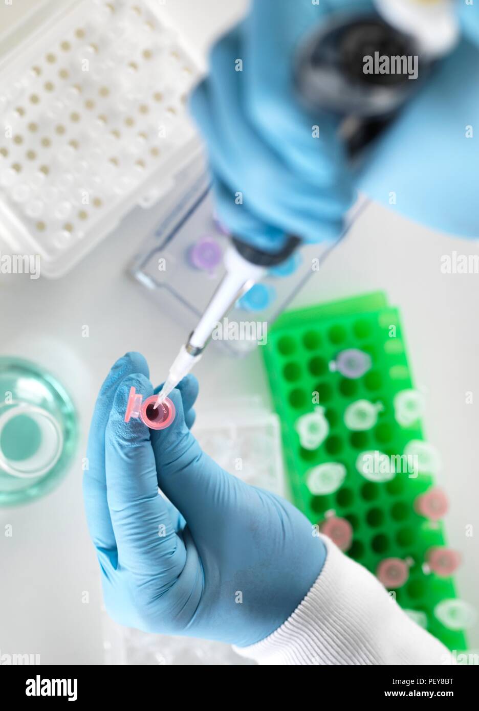 Scientist pipetting sample into vials hi-res stock photography and ...
