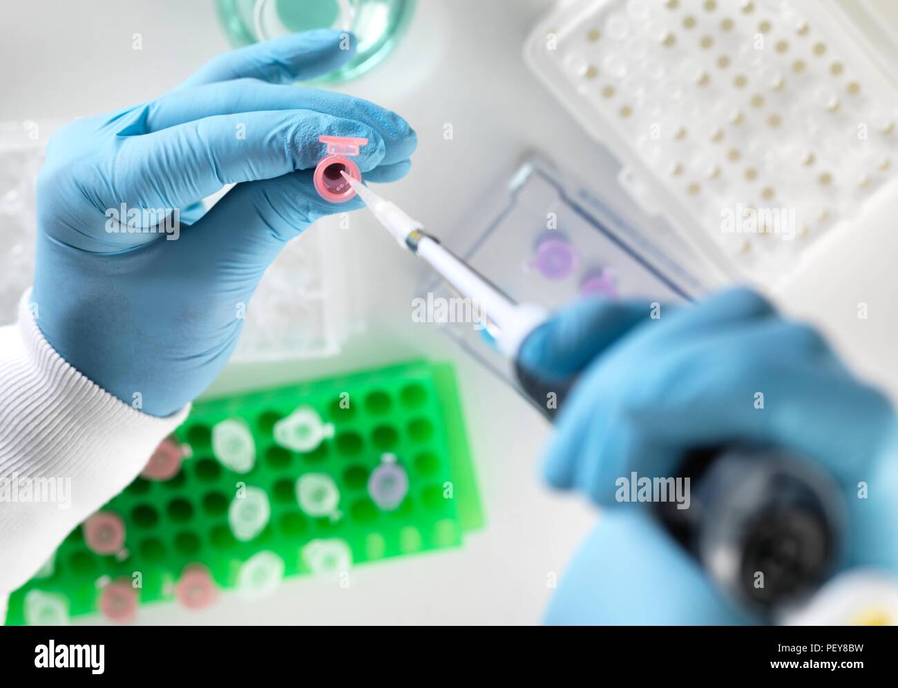 Scientist preparing a sample in an Eppendorf tube for chemical analysis ...
