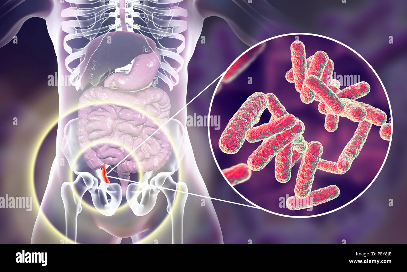 Bacteroides Stock Photos & Bacteroides Stock Images - Alamy