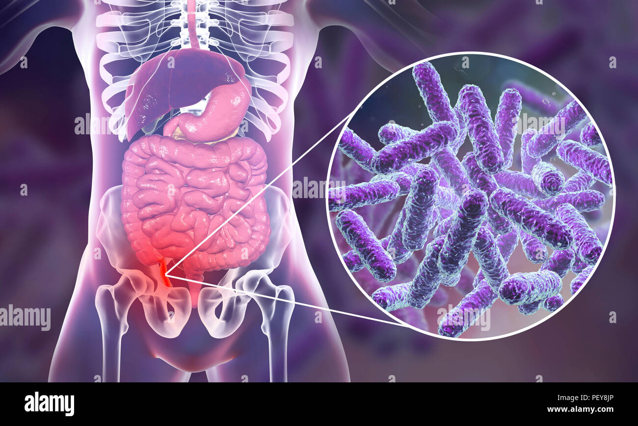 Aerobes High Resolution Stock Photography and Images - Alamy