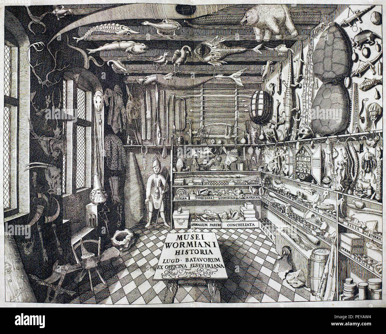 Wormius High Resolution Stock Photography and Images - Alamy