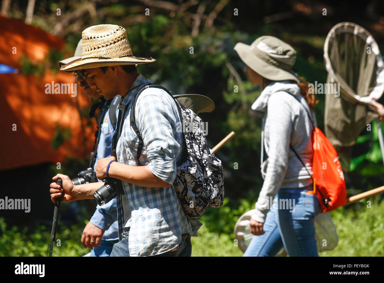 Proteger el medio ambiente natural hi-res stock photography and images ...