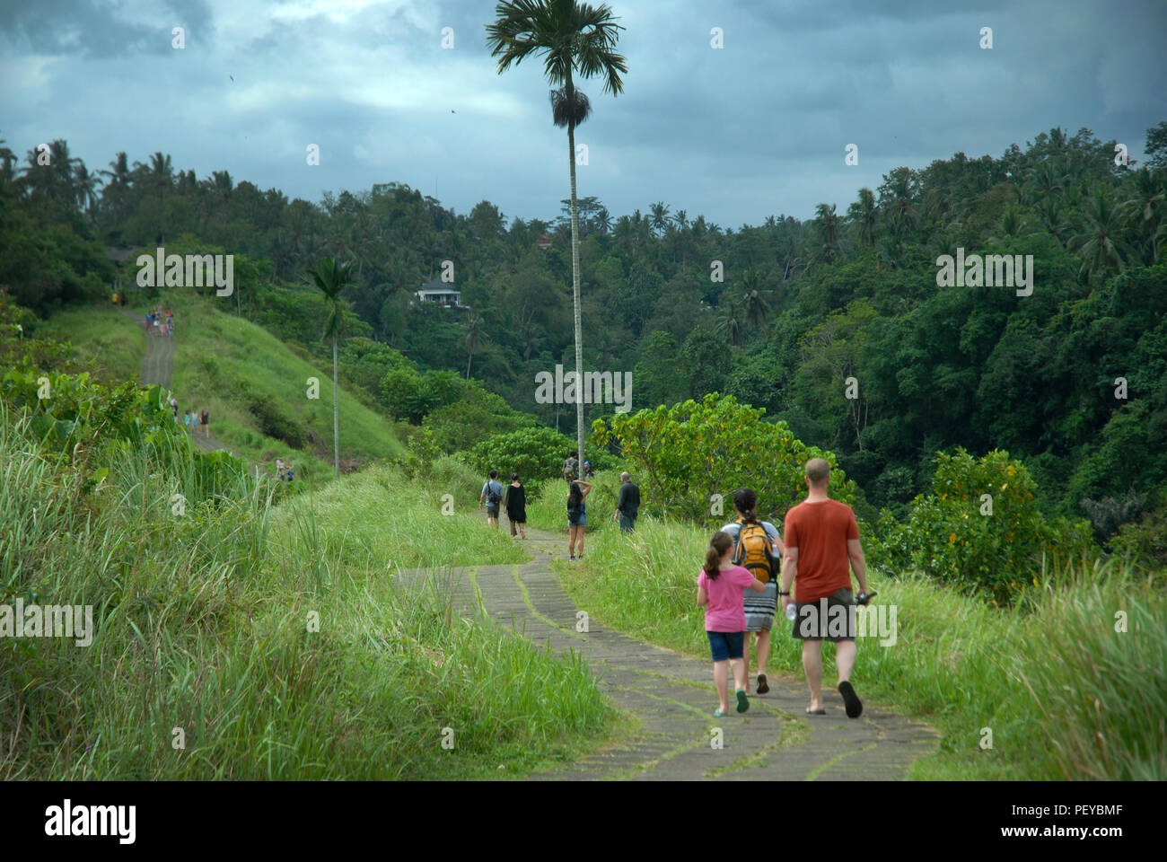 Campuhan Ridge Walk in Ubud, Bali Stock Photo - Alamy