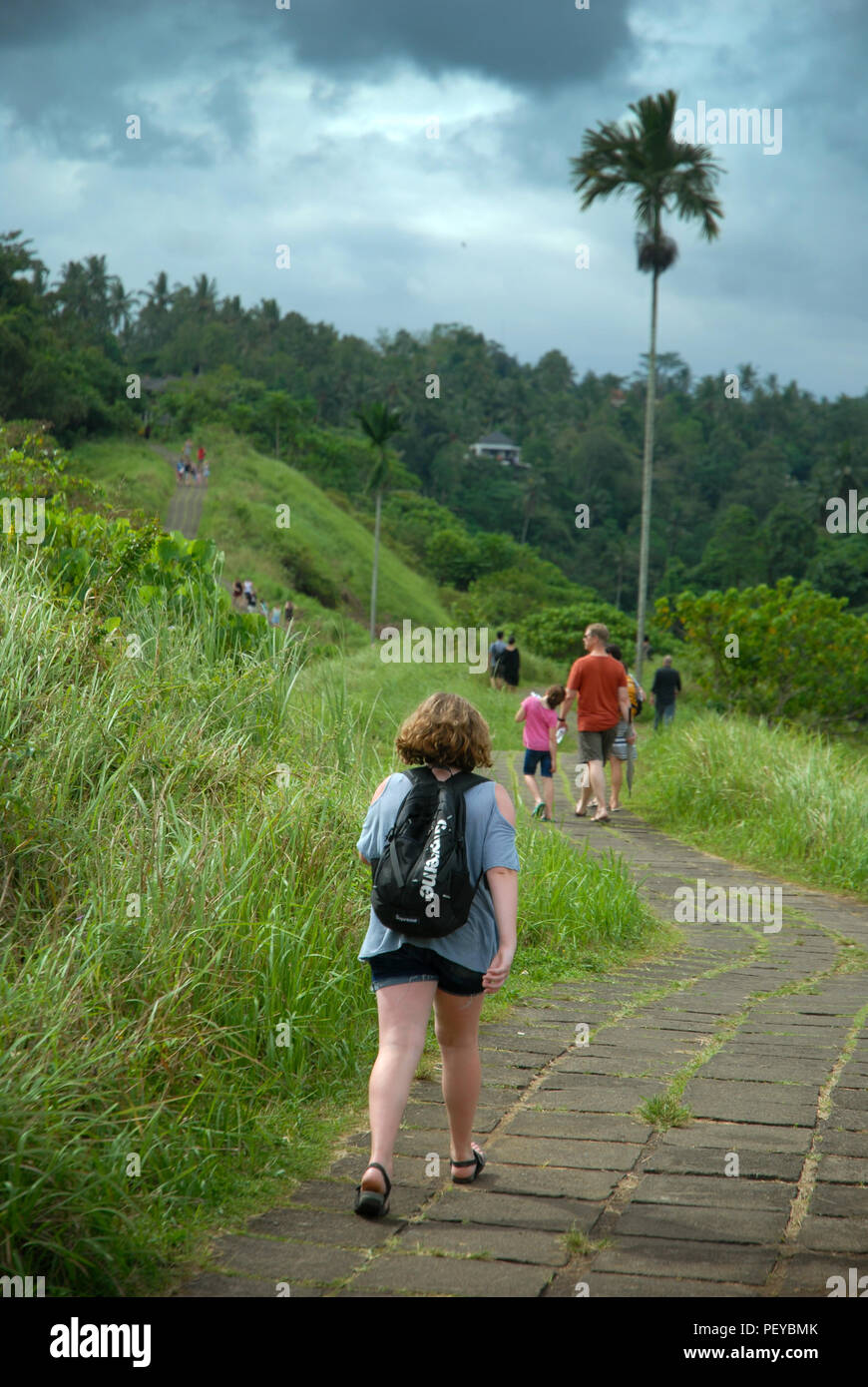 Campuhan Ridge Walk in Ubud, Bali Stock Photo - Alamy