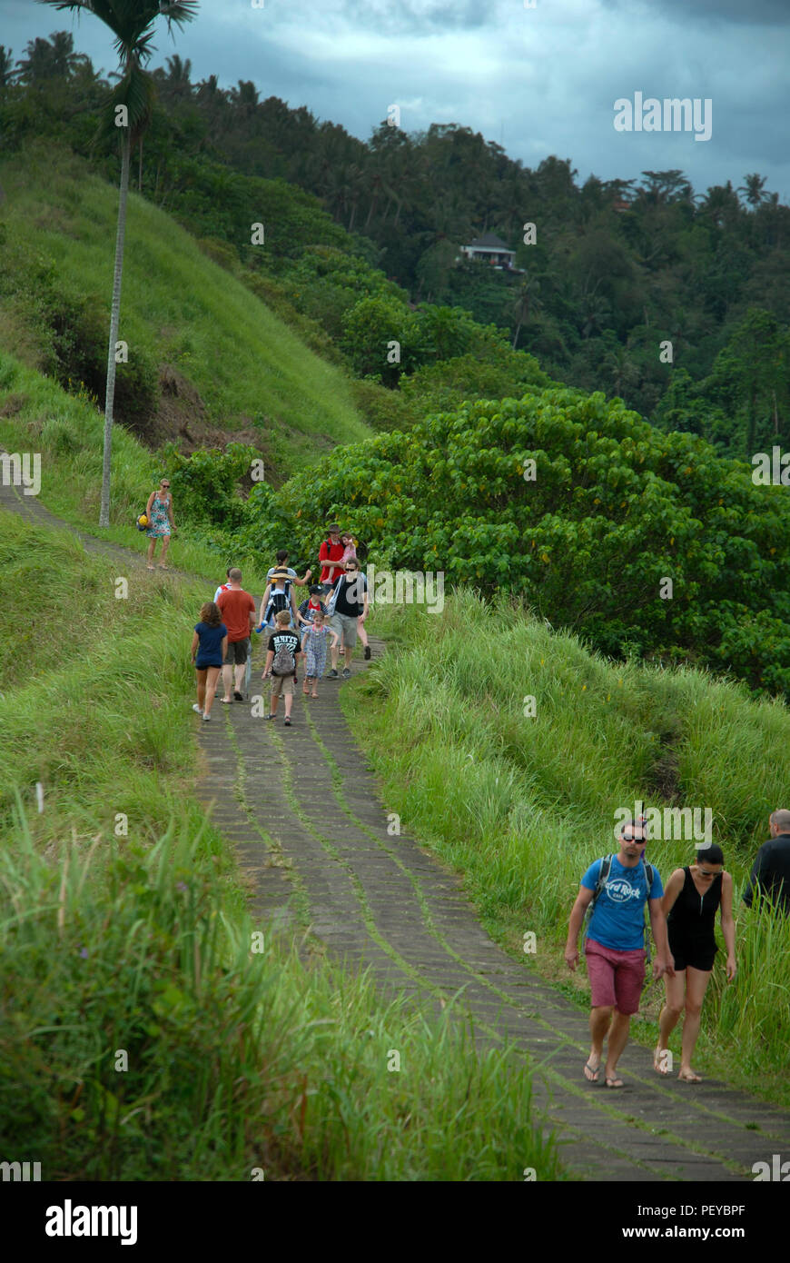 Campuhan Ridge Walk in Ubud, Bali Stock Photo - Alamy