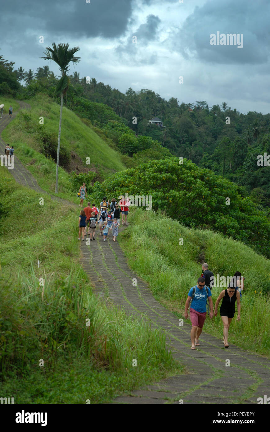 Campuhan Ridge Walk in Ubud, Bali Stock Photo - Alamy