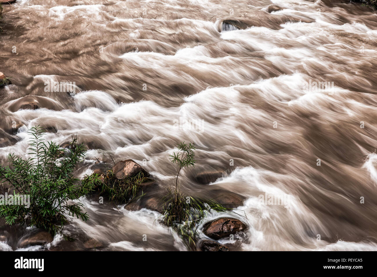 Motion stream of brown mud river from tropical rainforest in long ...