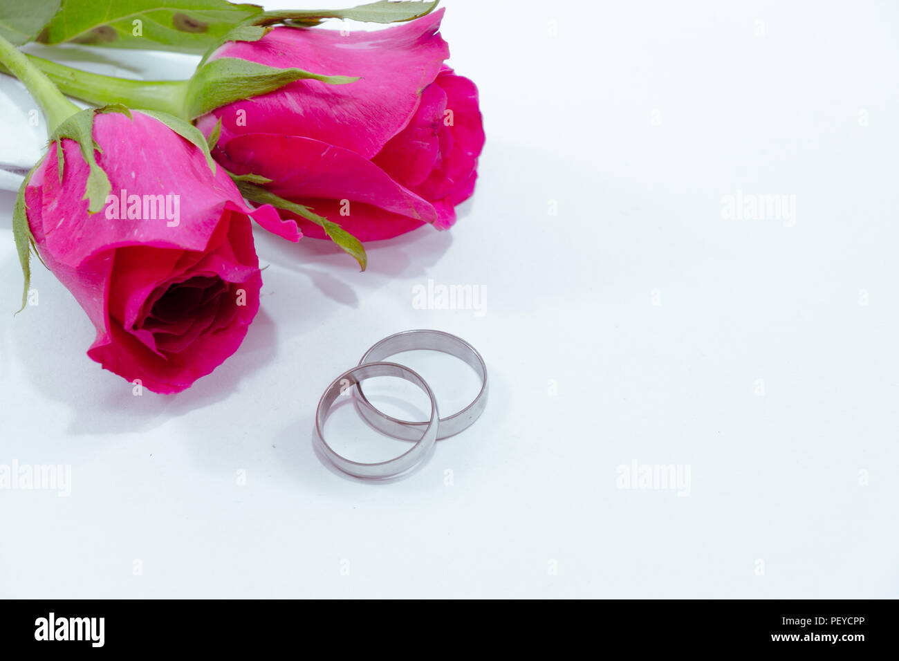 Rose and engage ring on white background, Valentines Day background ...