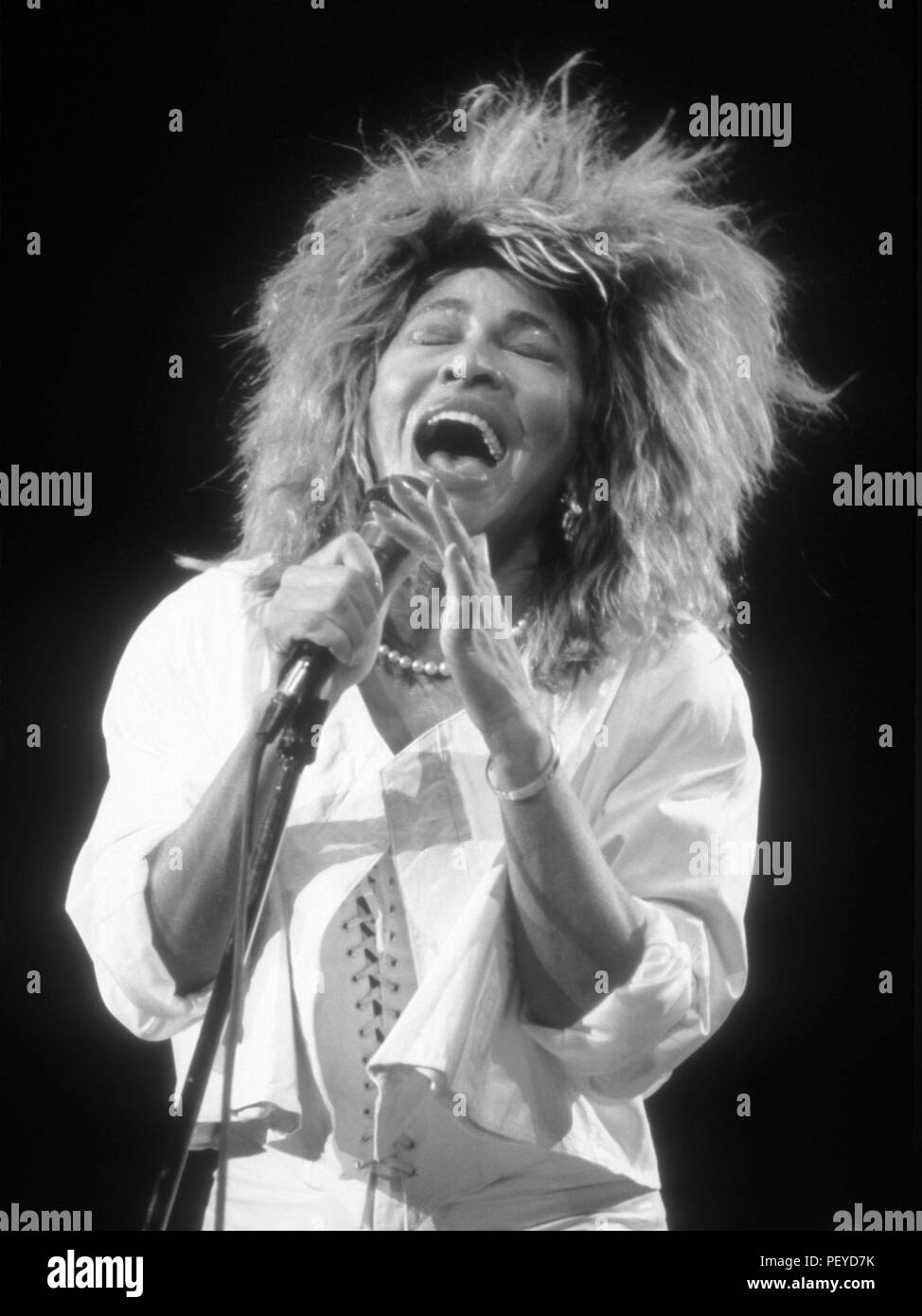 #TinaTurner 1985 Photo By Adam Scull/PHOTOlink.net Stock Photo - Alamy