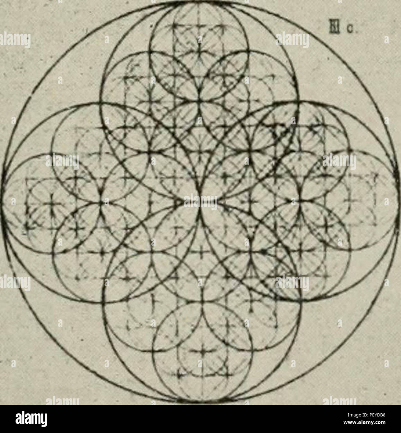 Rossiana; papers and documents relating to the history and genealogy of ...