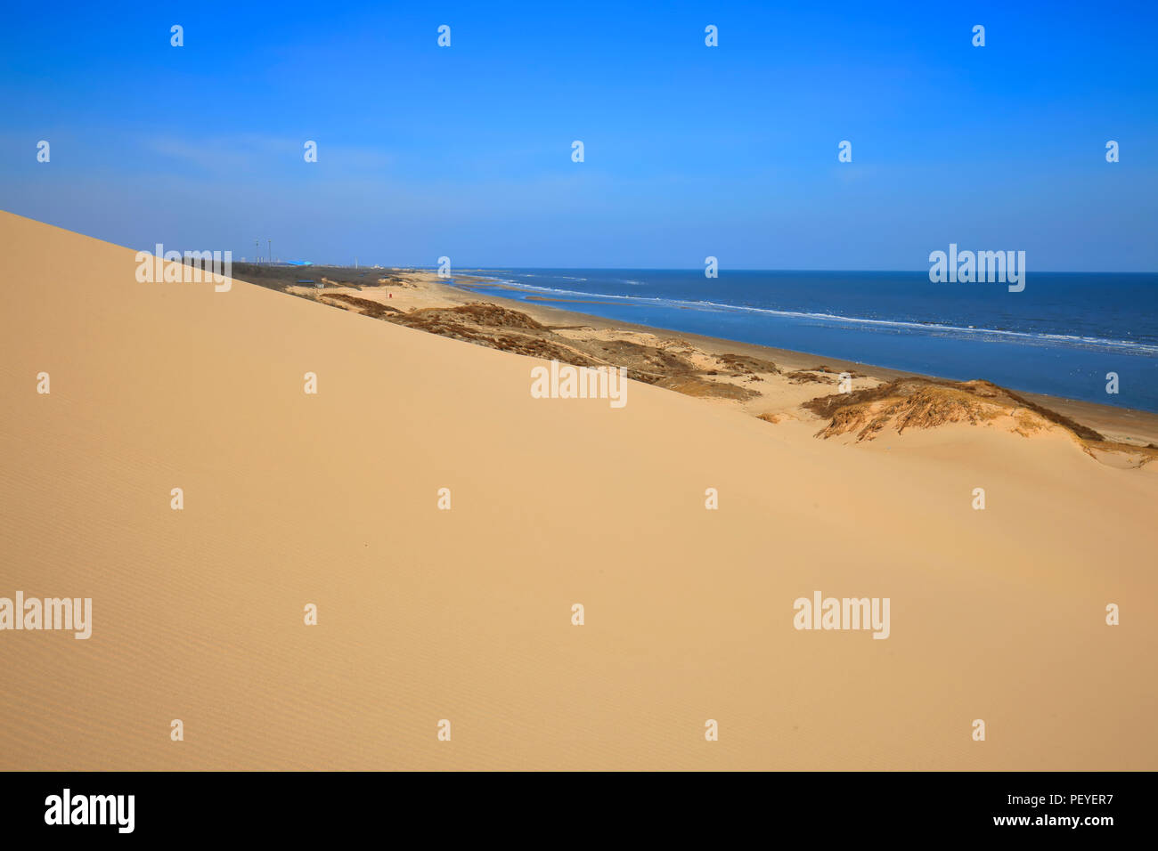 The desert by the sea Stock Photo - Alamy