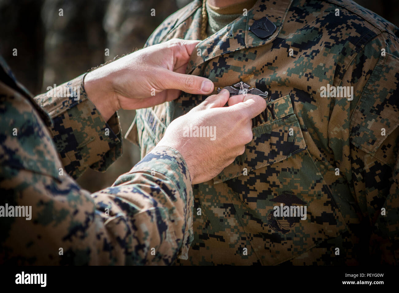 Fleet marine force enlisted warfare specialist hi-res stock photography ...
