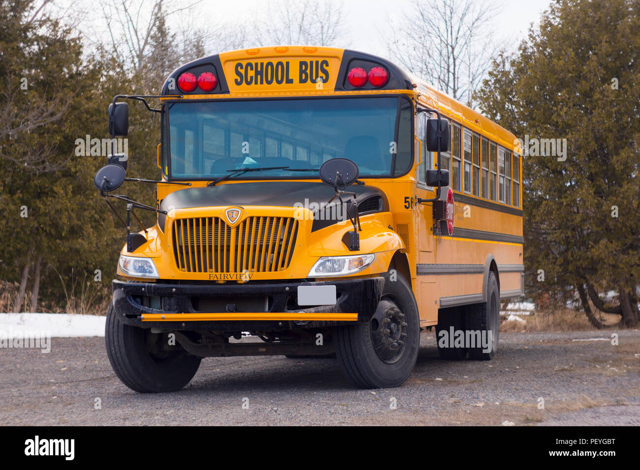 Yellow typical Canada canadian schoolbus for children and students safe ...