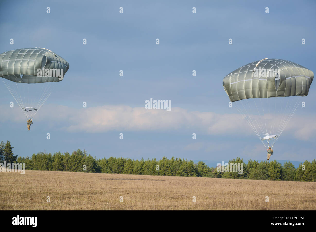 U.S. Army paratroopers, assigned to 4th Battalion, 319th Airborne Field ...