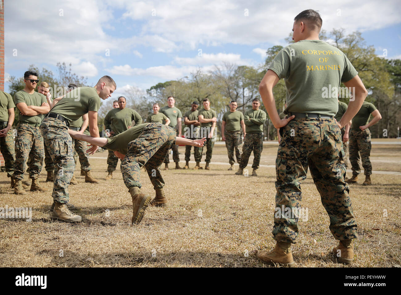 Marines with the Evacuation Control Center team from Combat Logistics ...