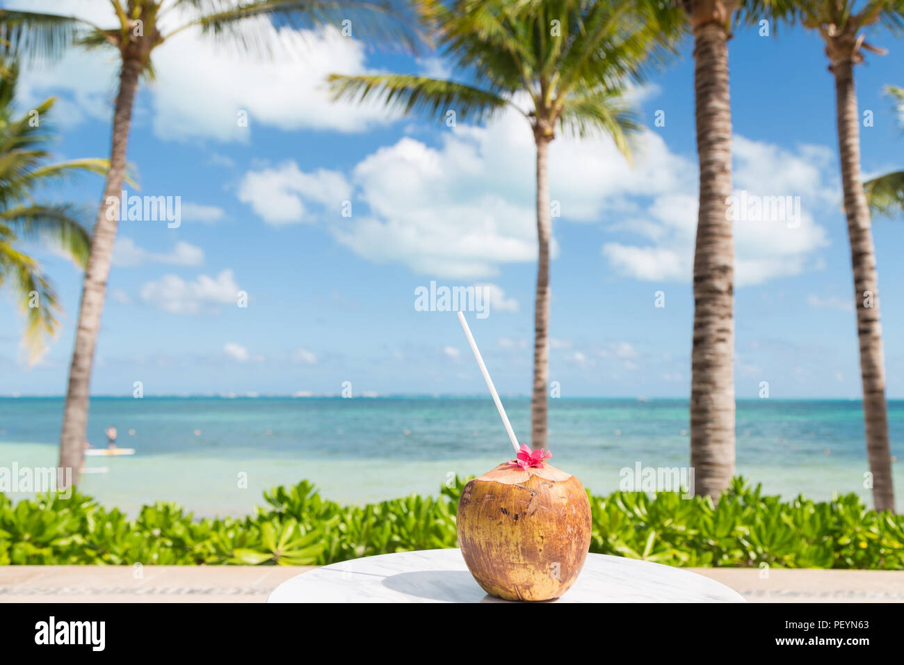 Fresh coconut on a white table beside a tropical beach with palm trees ...