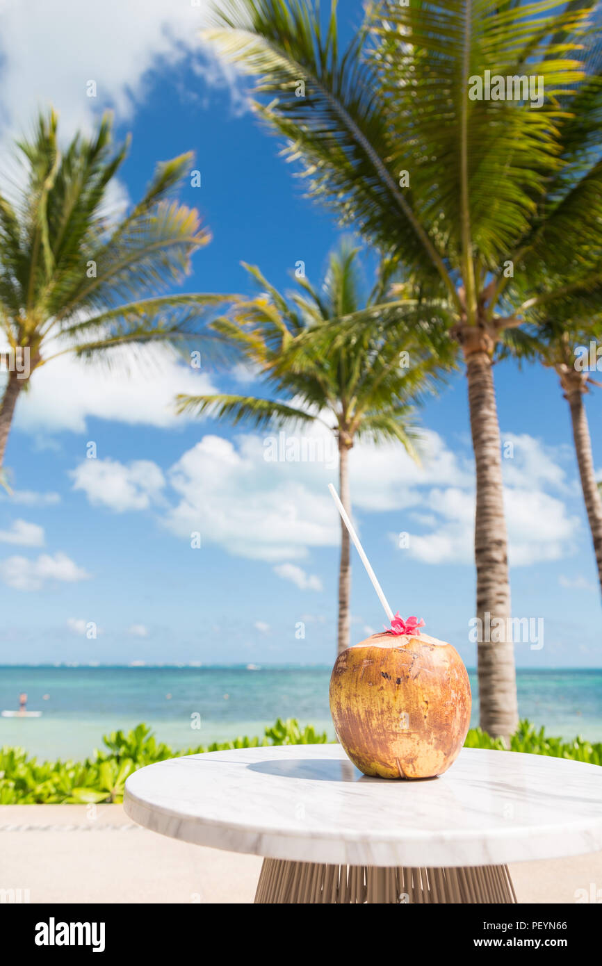Coconut area hi-res stock photography and images - Alamy