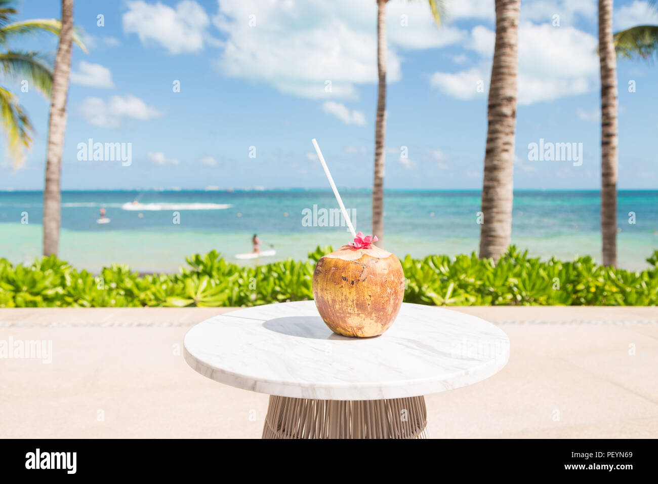 Fresh coconut on a white table beside a tropical beach with palm trees ...