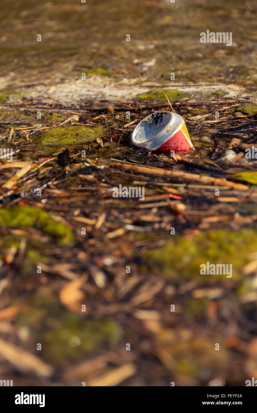 Old can floating on a lake in Cordoba, Argentina Stock Photo - Alamy