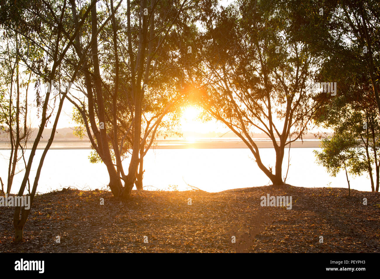 sunrise light rays fall landscape trees silhouette Stock Photo - Alamy
