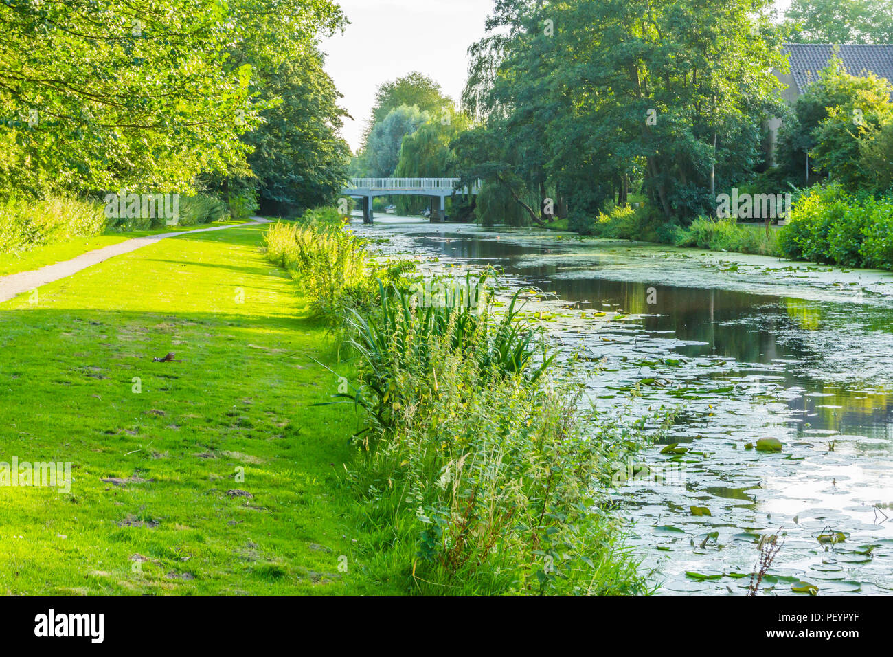 big river in a water landscape with grass and trees Stock Photo - Alamy